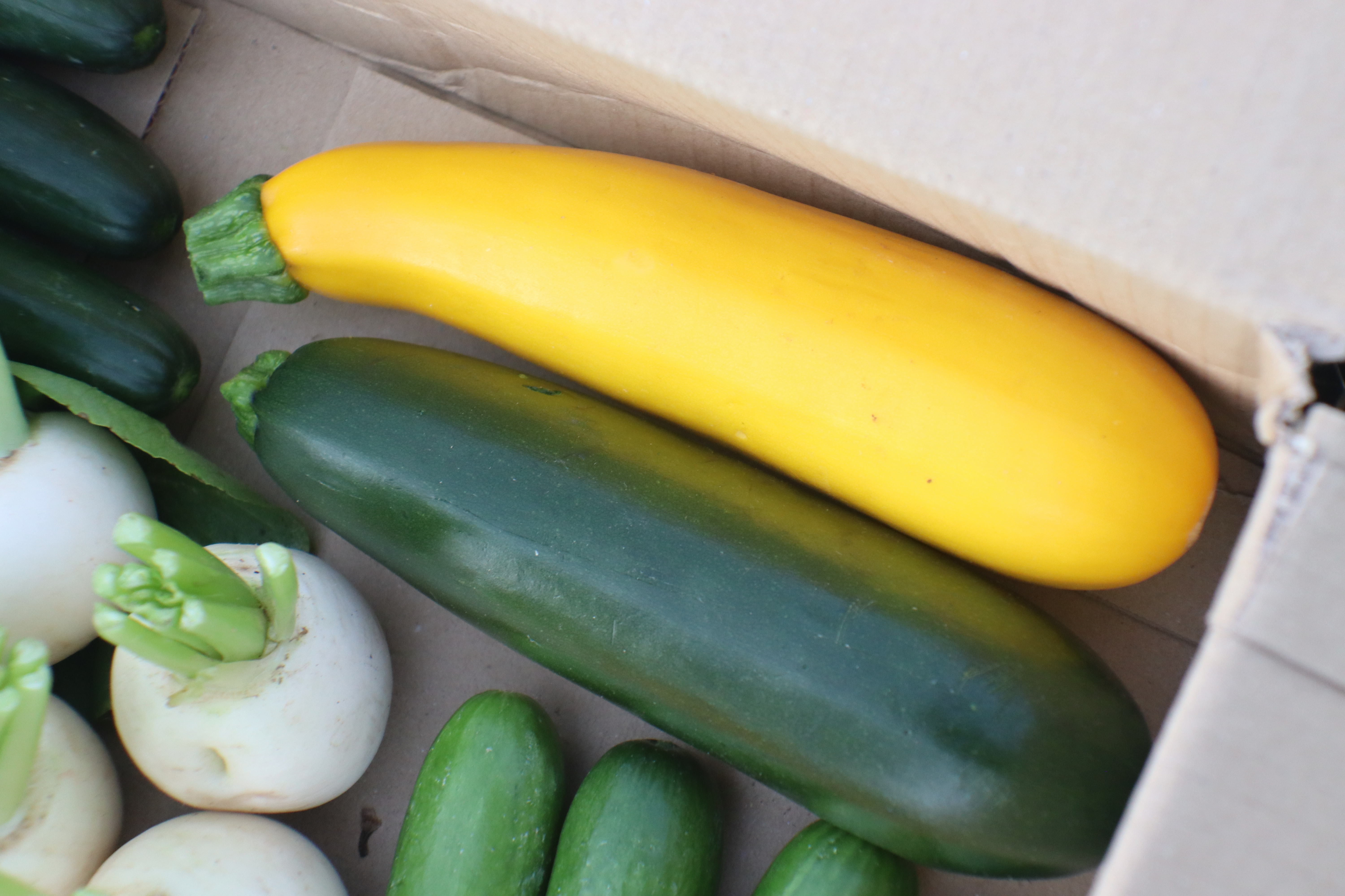 #FoodForestFarmGiftBox – 3kg – The Kind Grower