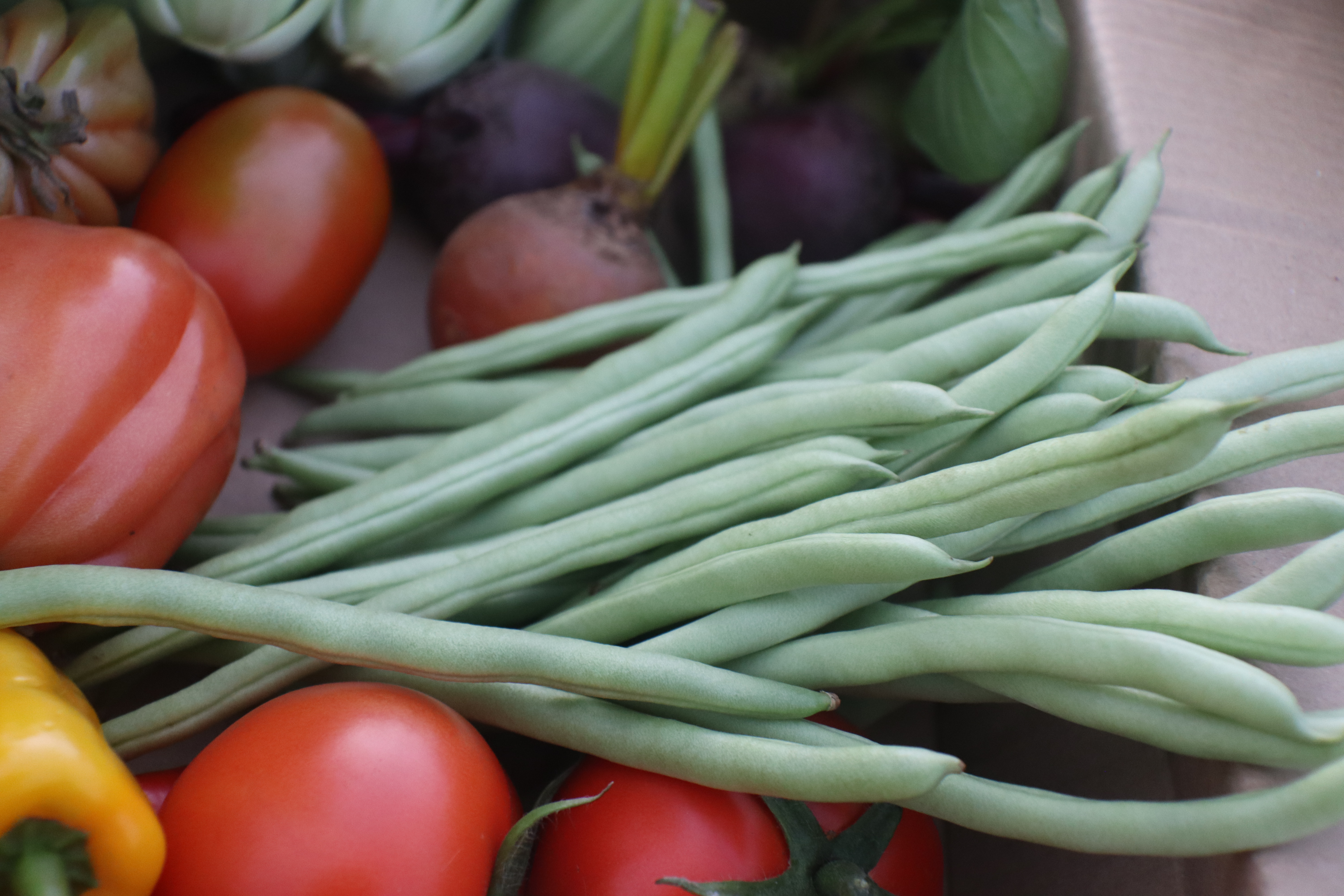 #FoodForestFarmVegBox – 3 kg – The Kind Grower