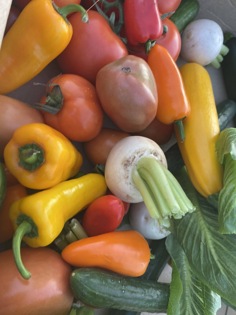#FoodForestFarmGiftBox – 3kg – The Kind Grower