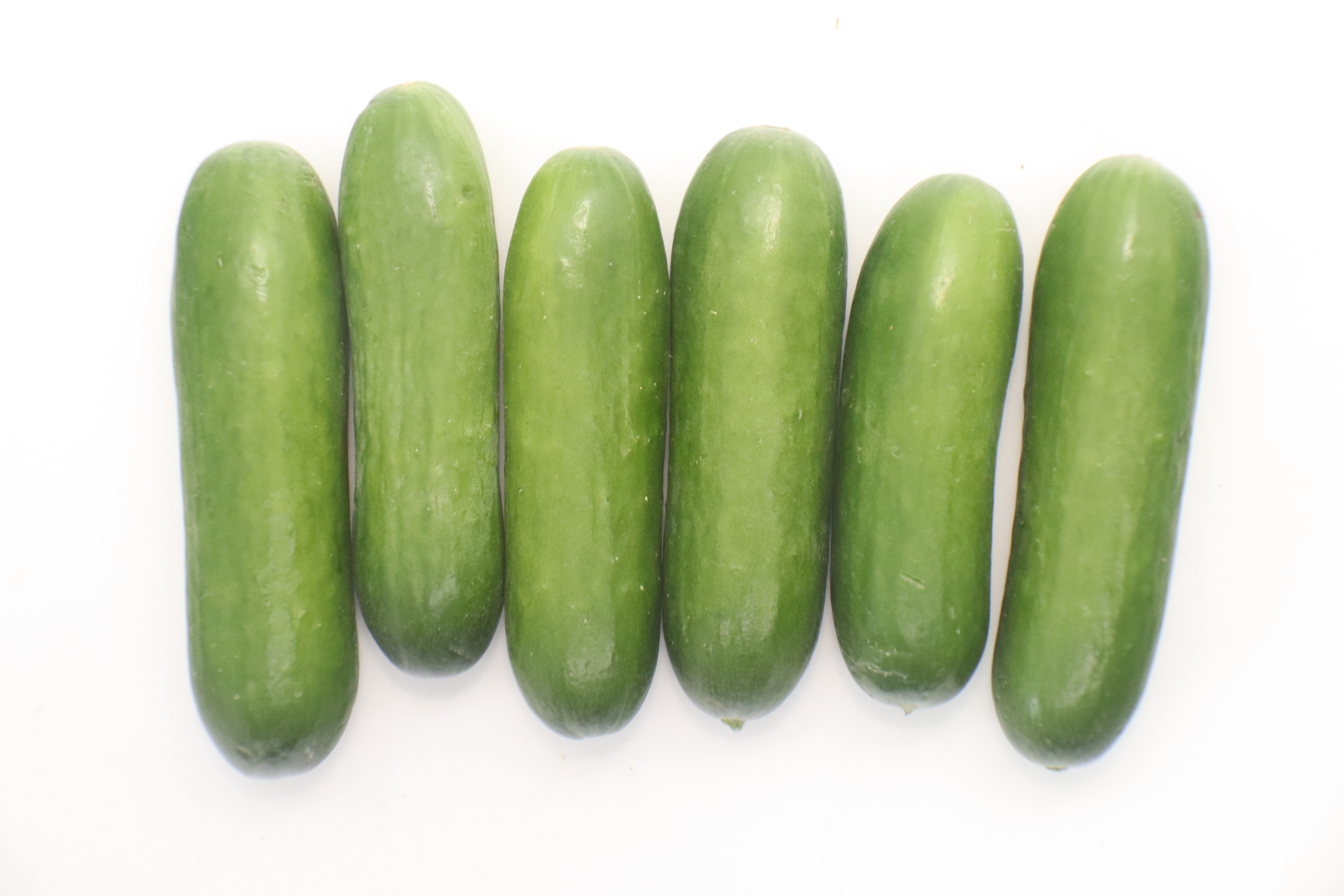 Baby Jazz Cucumber – The Kind Grower