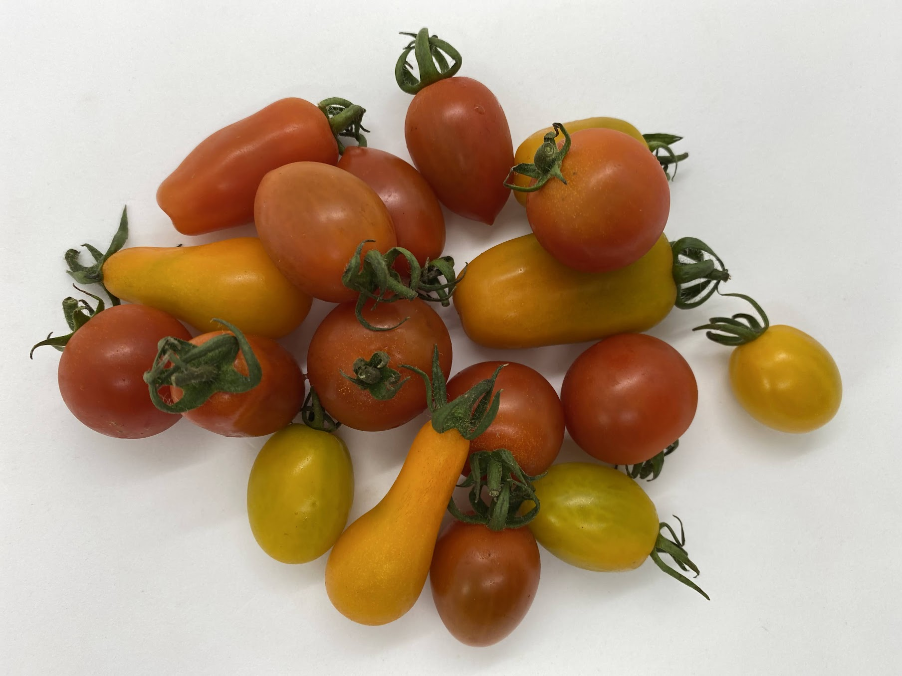 Baby Jazz Snacking Cherry Tomato – The Kind Grower