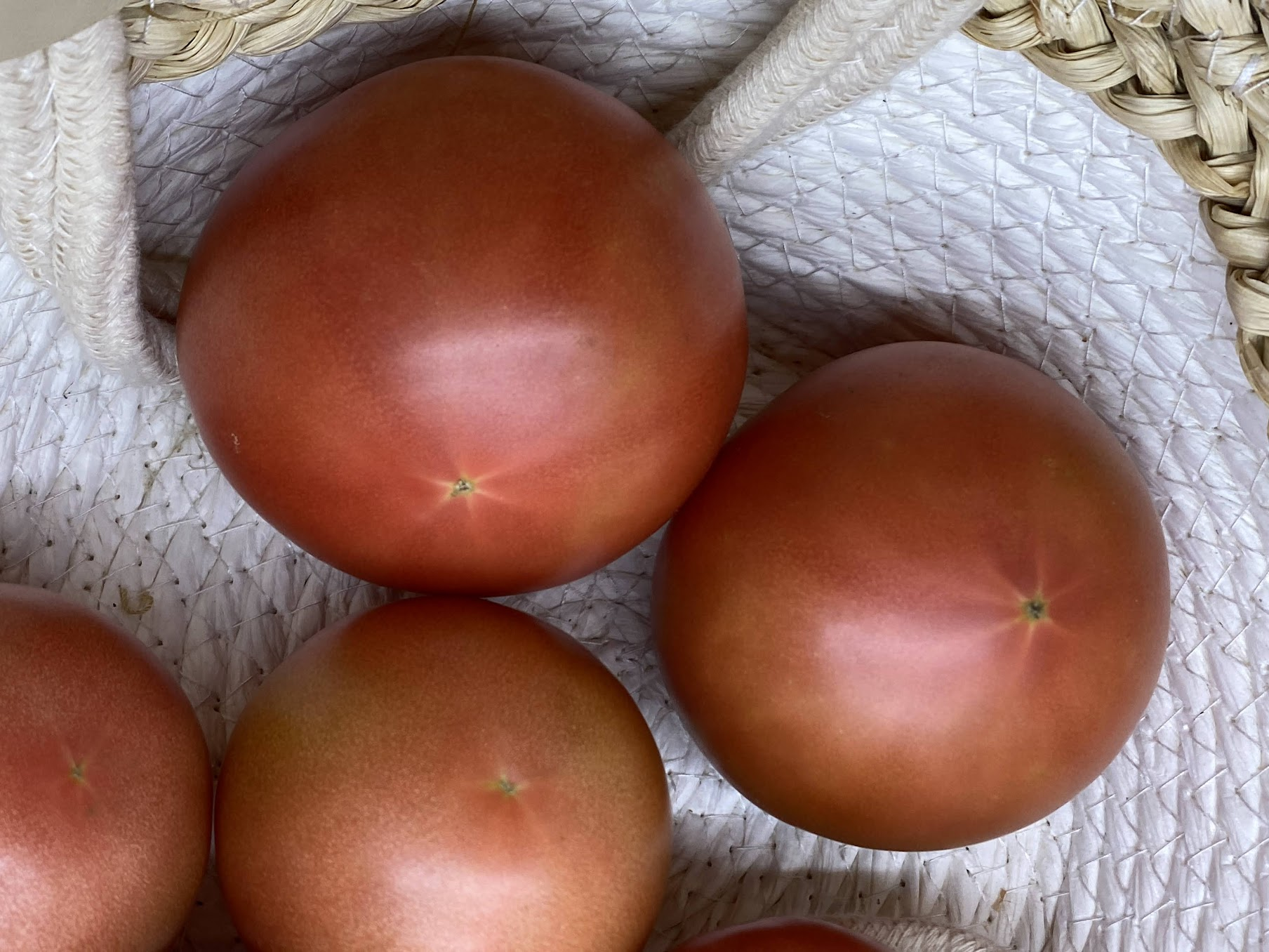 Big Momotaro – The Kind Grower