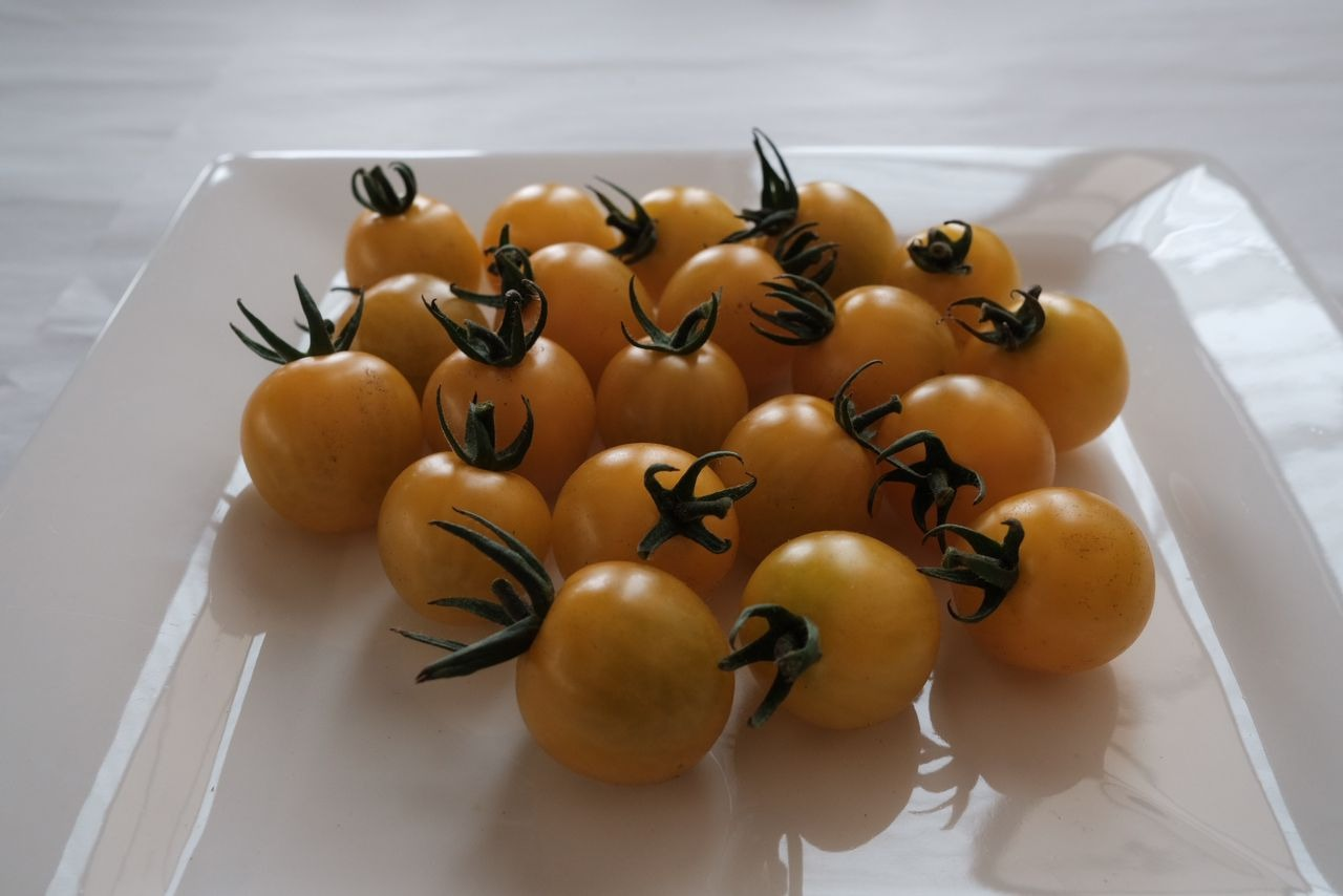 SUNCERY YELLOW Round Cherry Tomato – The Kind Grower