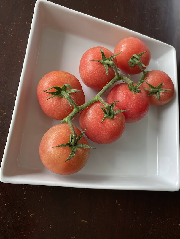 TATAMI SILKY PINK Truss Cocktail Tomato – The Kind Grower