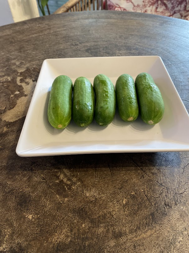 Snacking Cucumber – The Kind Grower
