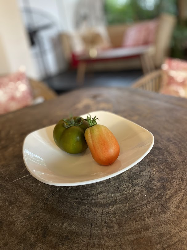 Heirloom Tomato – The Kind Grower